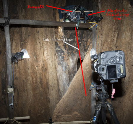 camera traps trail camera sensors Range IR