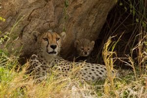 Tanzania 2012 Photo Safari Tour Trip Report